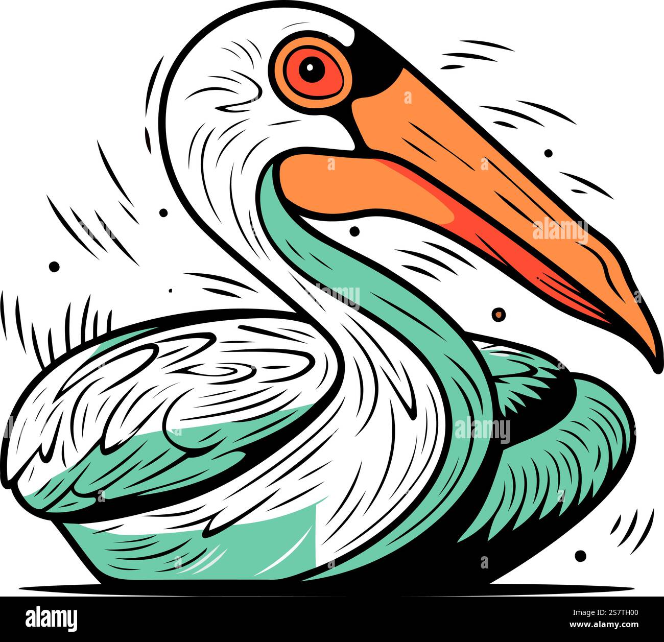 Pelican. Hand drawn vector illustration isolated on white background ...