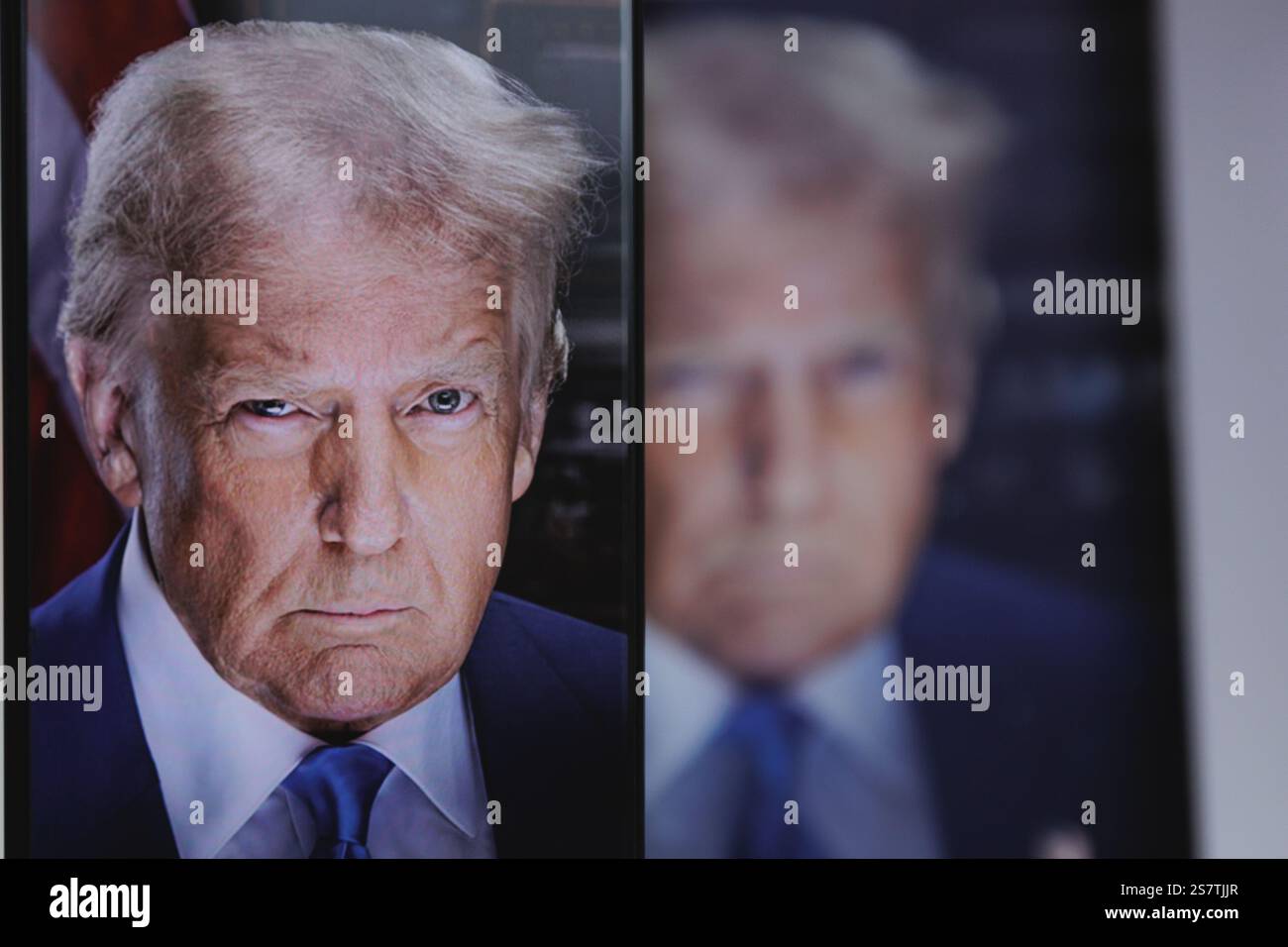 Donald Trump new official portrait. The president of the United States ...