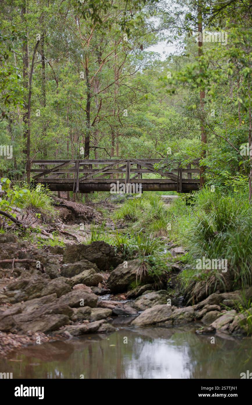 Rustic wooden bridge over a rocky creek in a lush Australian forest ...