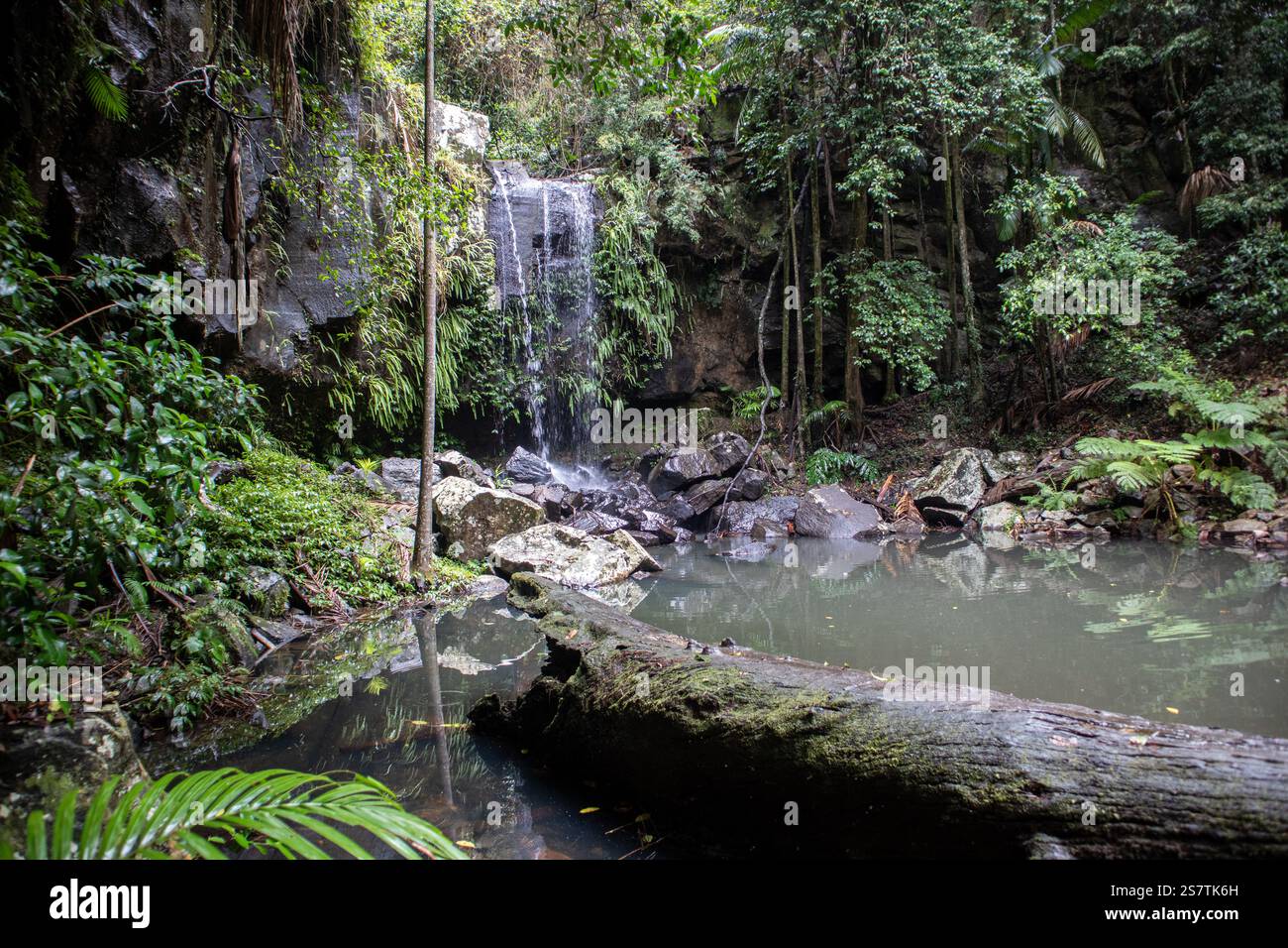 A waterfall cascades into a peaceful forest pool surrounded by rocks ...