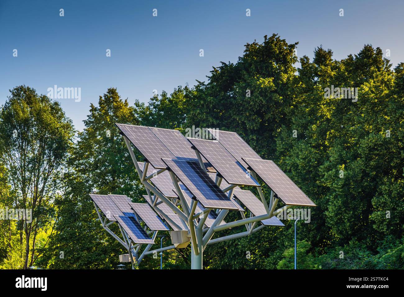Solar panels against park trees, photovoltaic modules, sustainable ...
