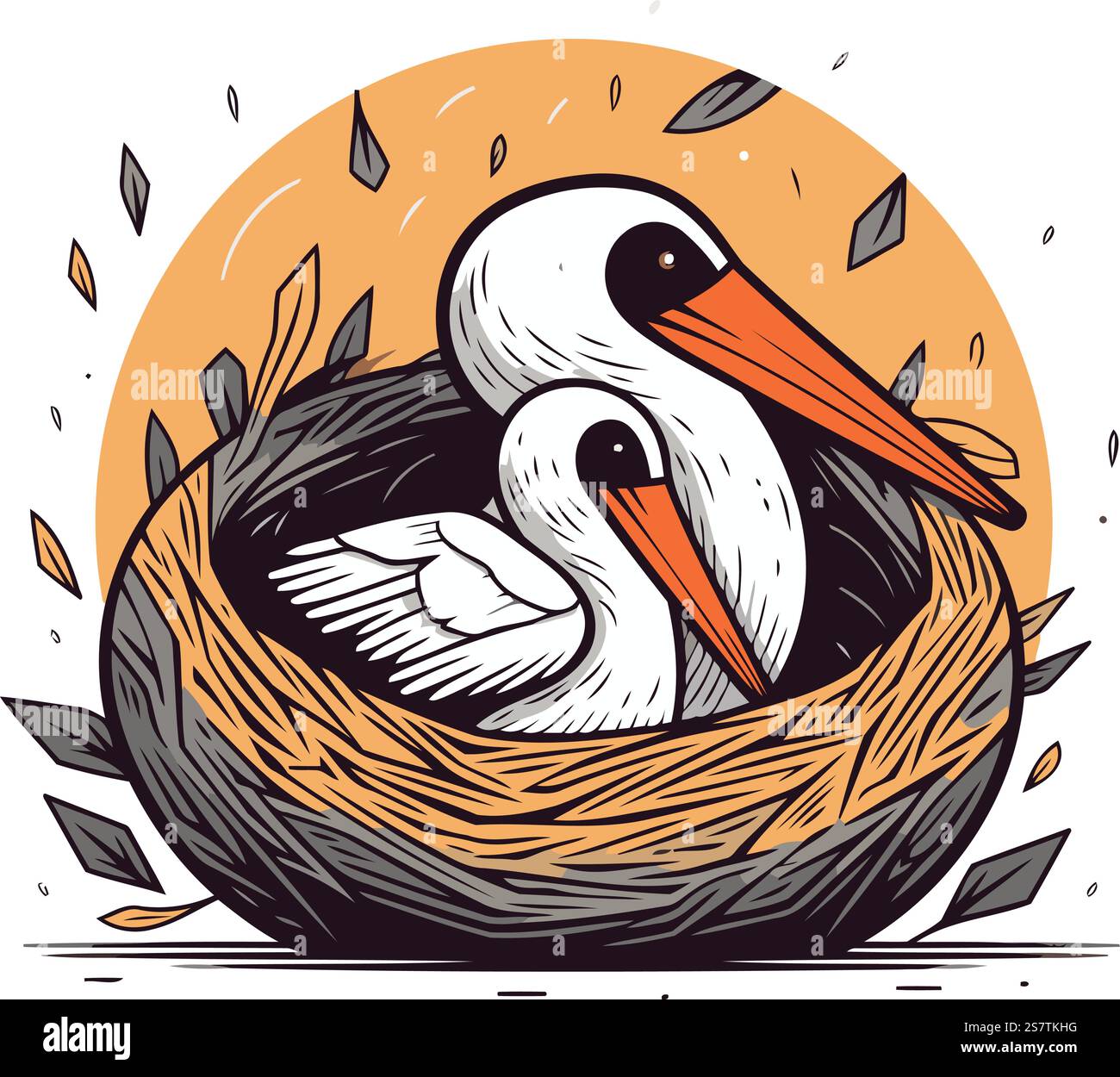 Stork in the nest Cut Out Stock Images & Pictures - Alamy