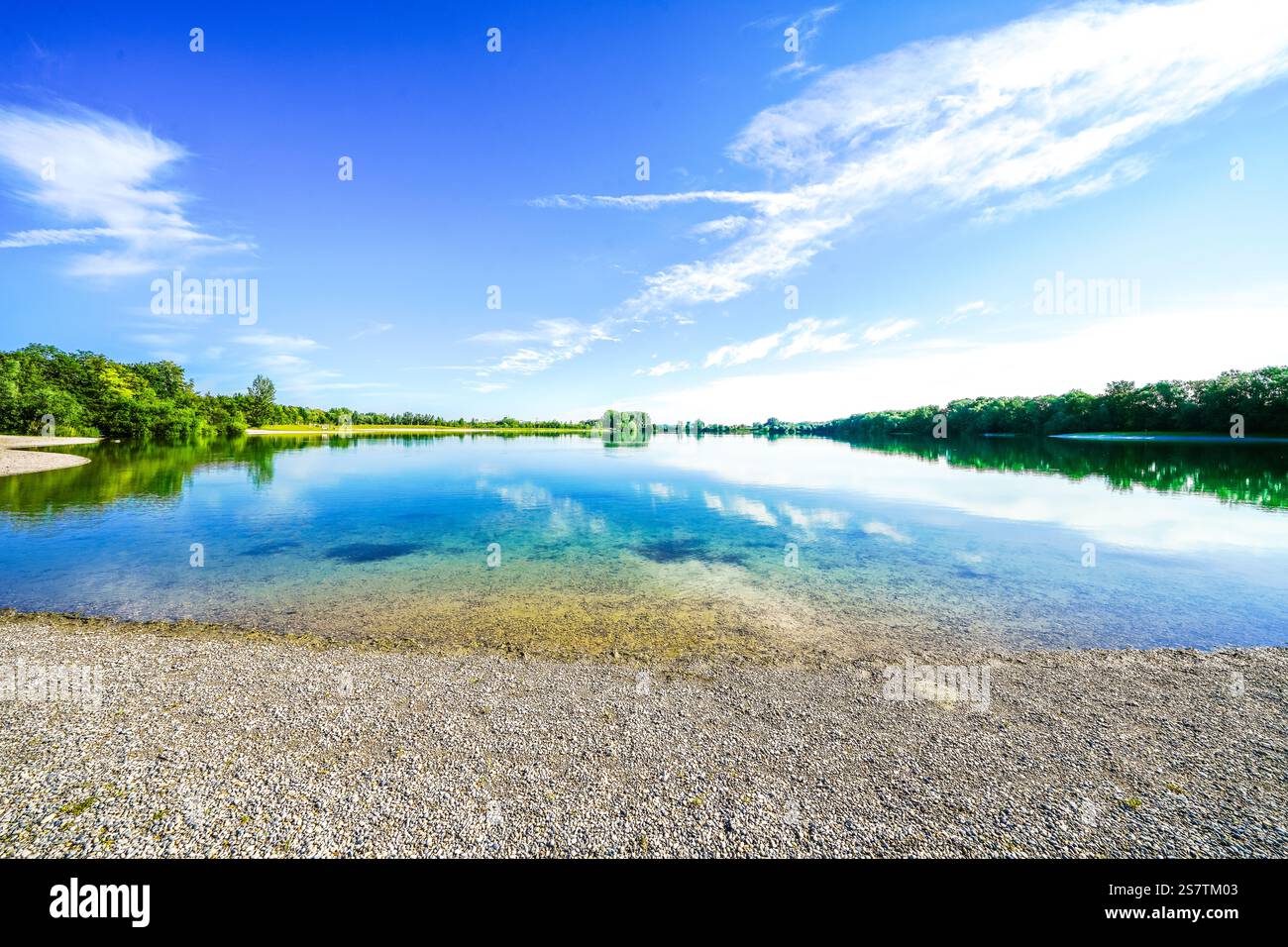 Grosser pullinger see hi-res stock photography and images - Alamy