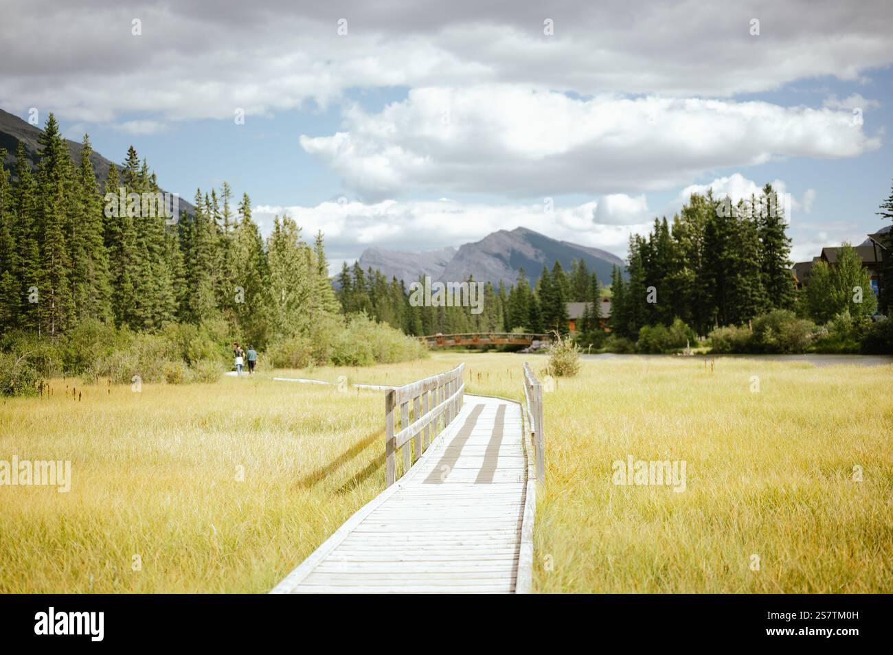 Wooden boardwalk through meadow with mountains and trees in Canmore ...