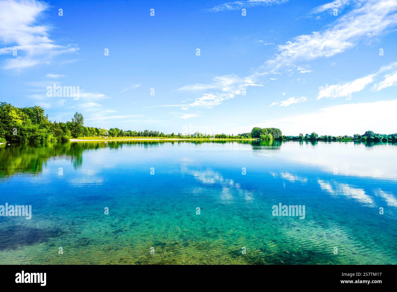 Grosser pullinger see hi-res stock photography and images - Alamy