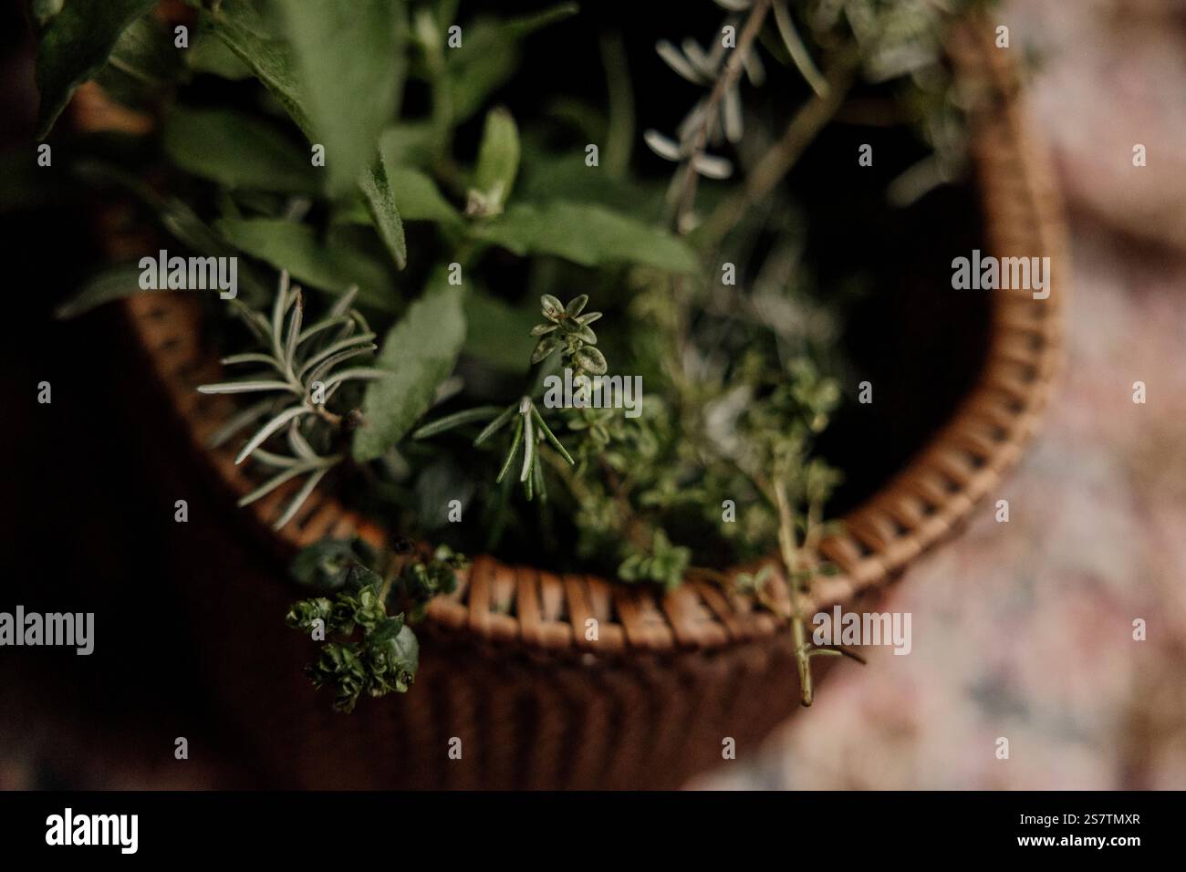 a woven basket with fresh herbs inside Stock Photo - Alamy