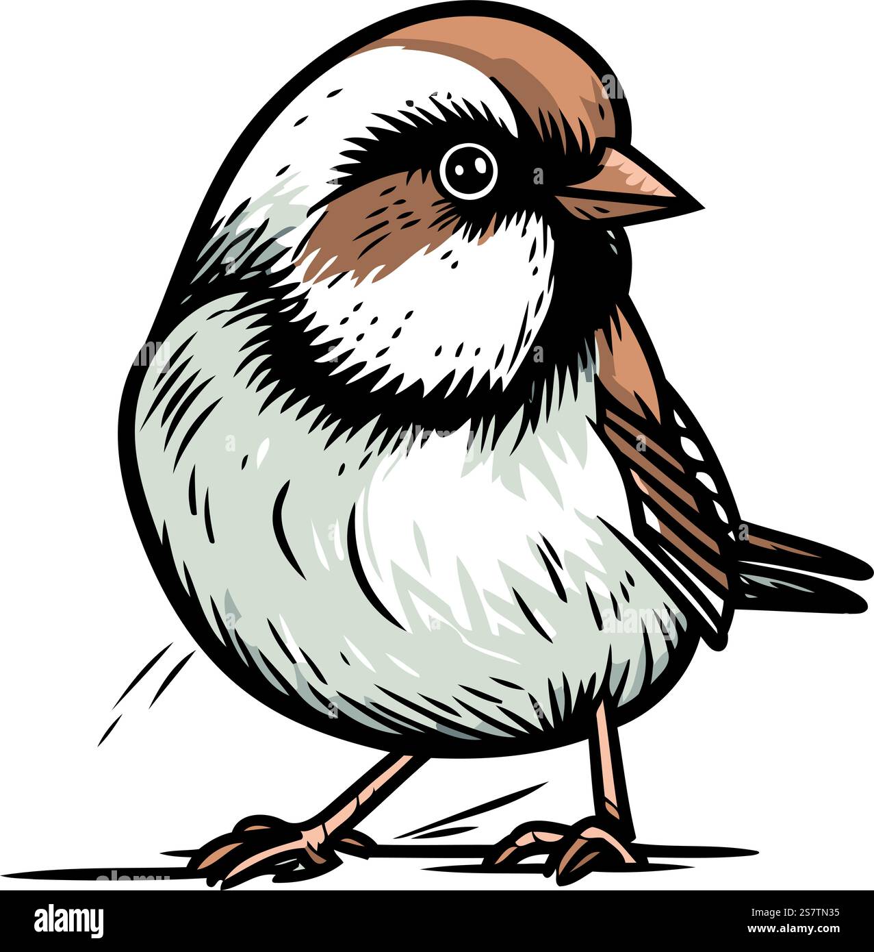Chickadee. hand drawn vector illustration in cartoon style Stock Vector ...