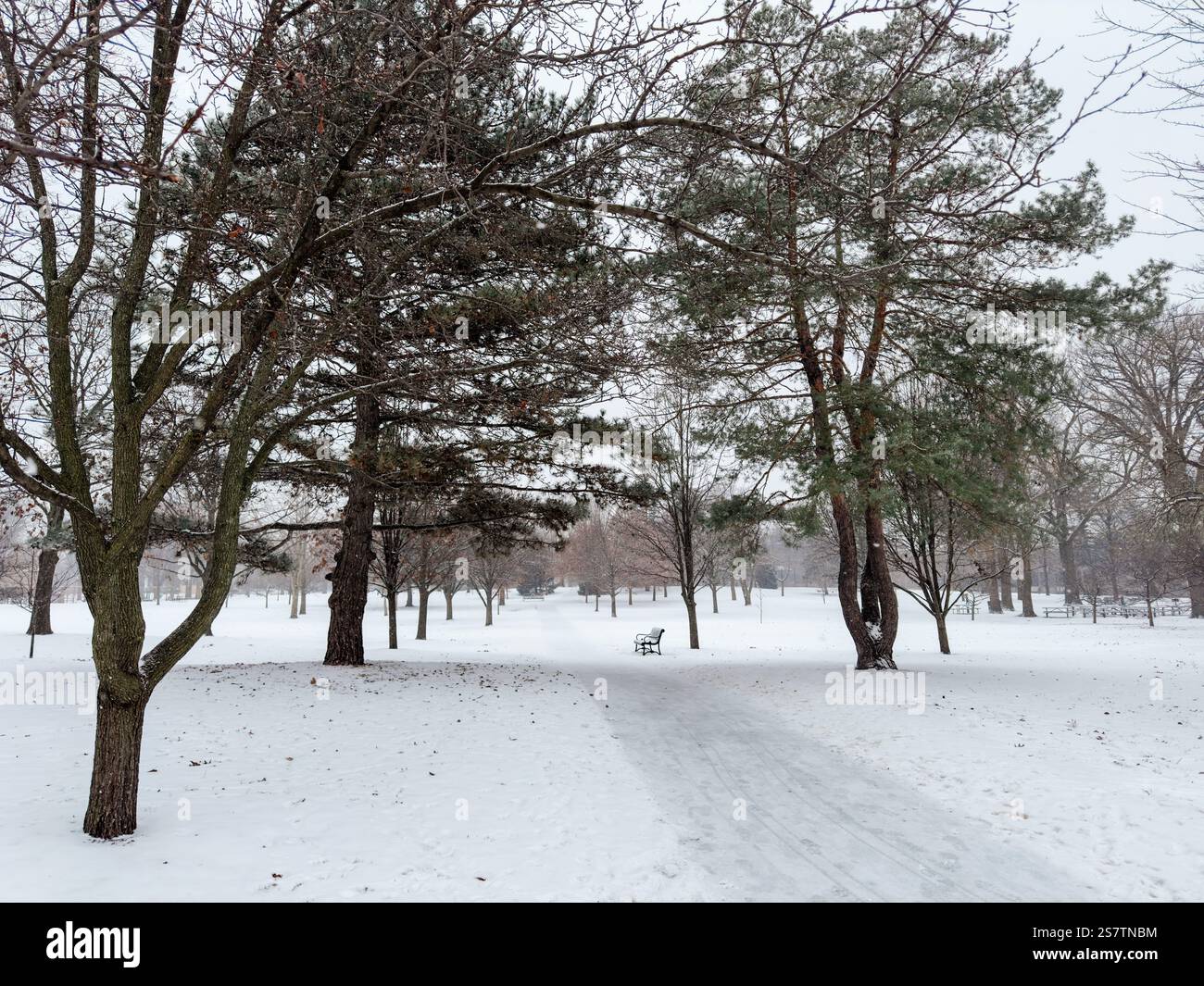 Snow-Covered Park Path in Winter Stock Photo - Alamy