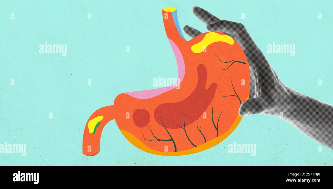 Human hand holding abstract representation of stomach anatomy in ...