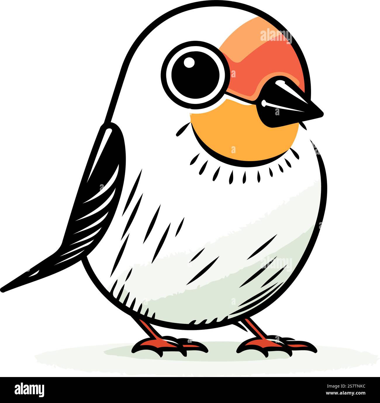 Cartoon robin bird. Vector illustration of a little bird Stock Vector ...