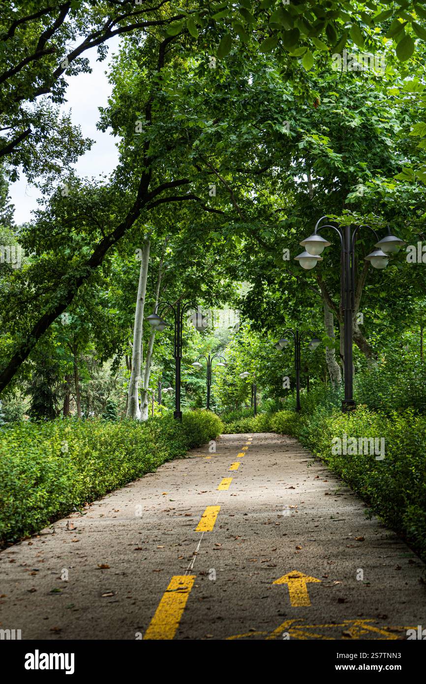 Bench tbilisi hi-res stock photography and images - Alamy