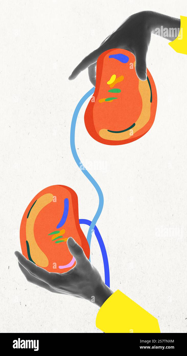 Creative depiction of kidney anatomy in bold orange and blue tones ...