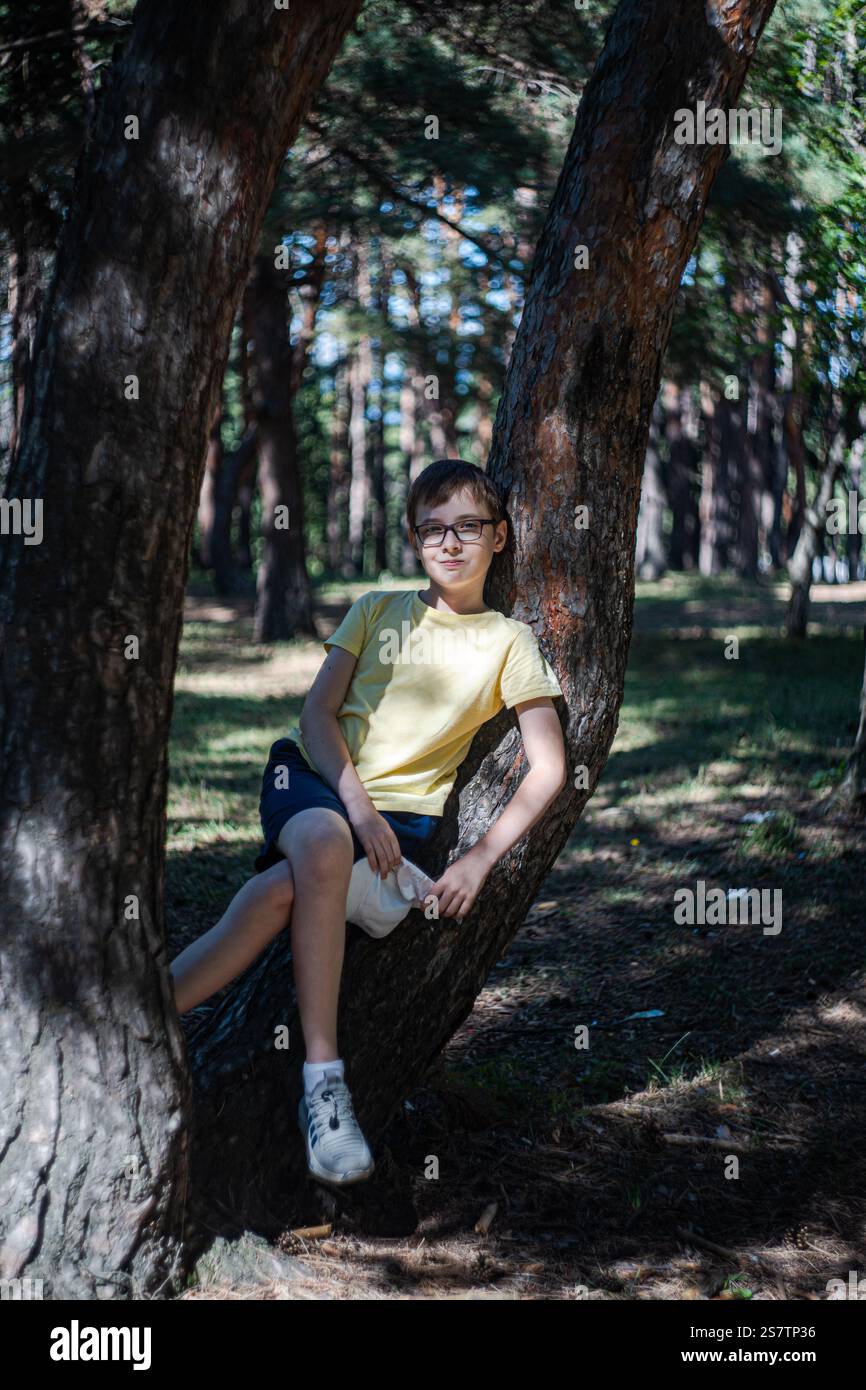 Nice boy resting on the tree Stock Photo - Alamy