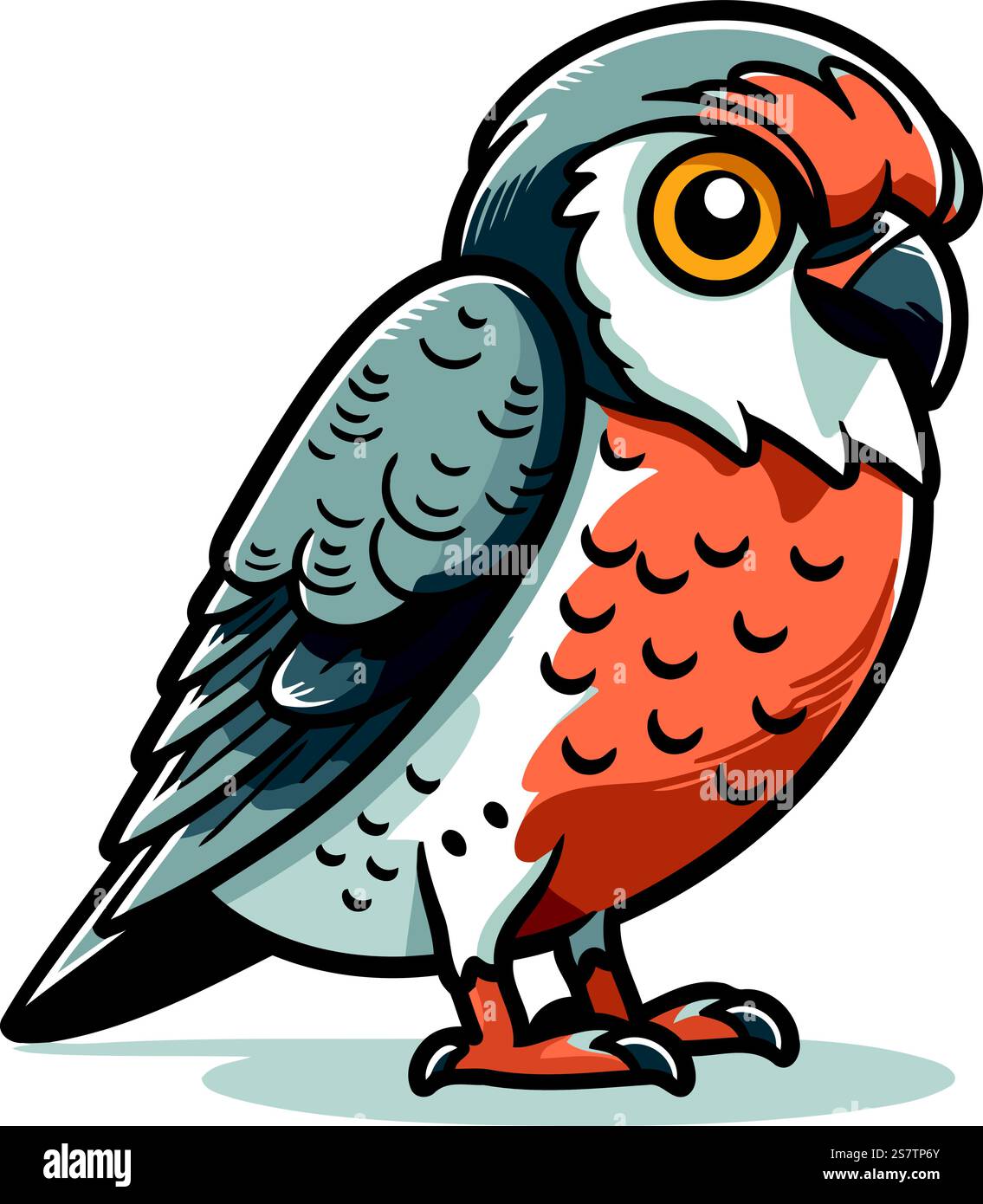 Cute cartoon kestrel bird isolated on white background. Vector ...