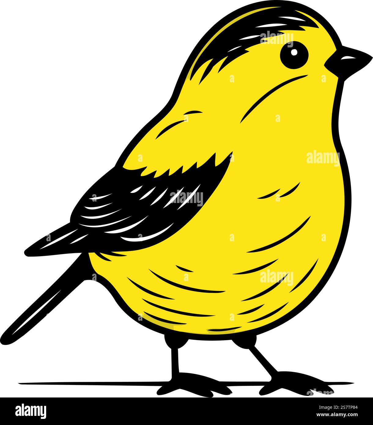 illustration of a yellow bird on a white background. vector ...