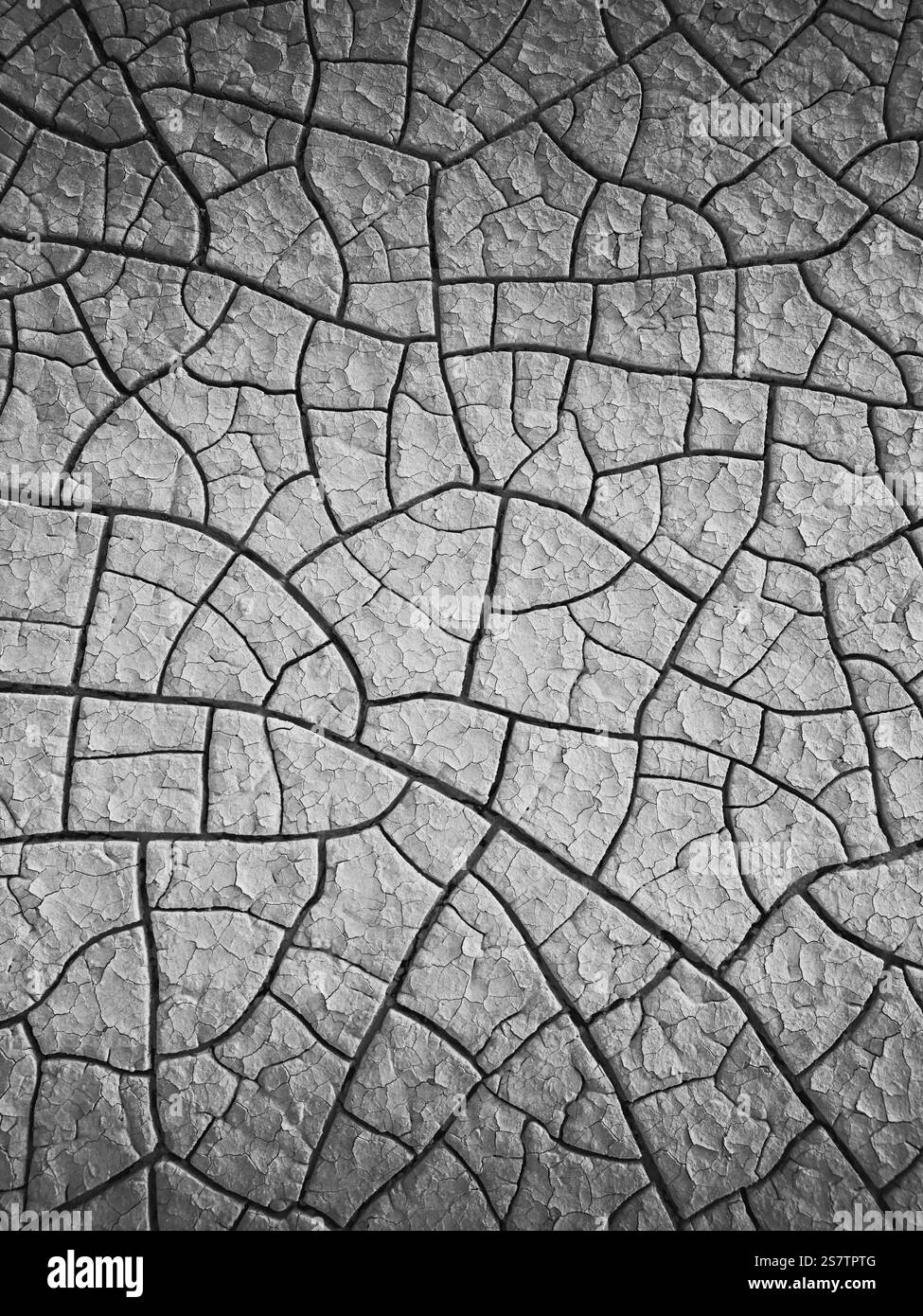 Arid landscape texture Black and White Stock Photos & Images - Alamy