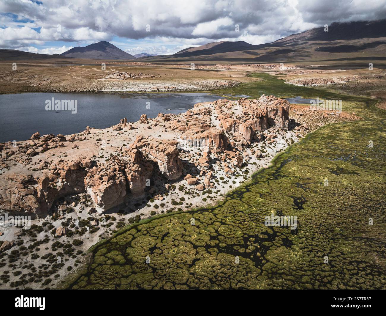 small salt lagoon over altiplano fields Stock Photo - Alamy