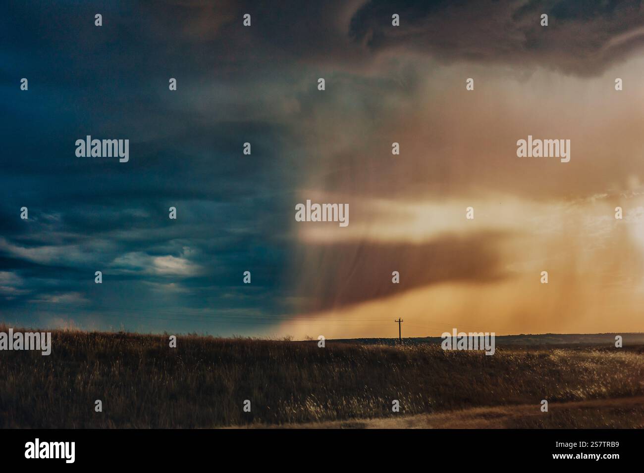 Rain falling over tall grass field with dark clouds Stock Photo - Alamy