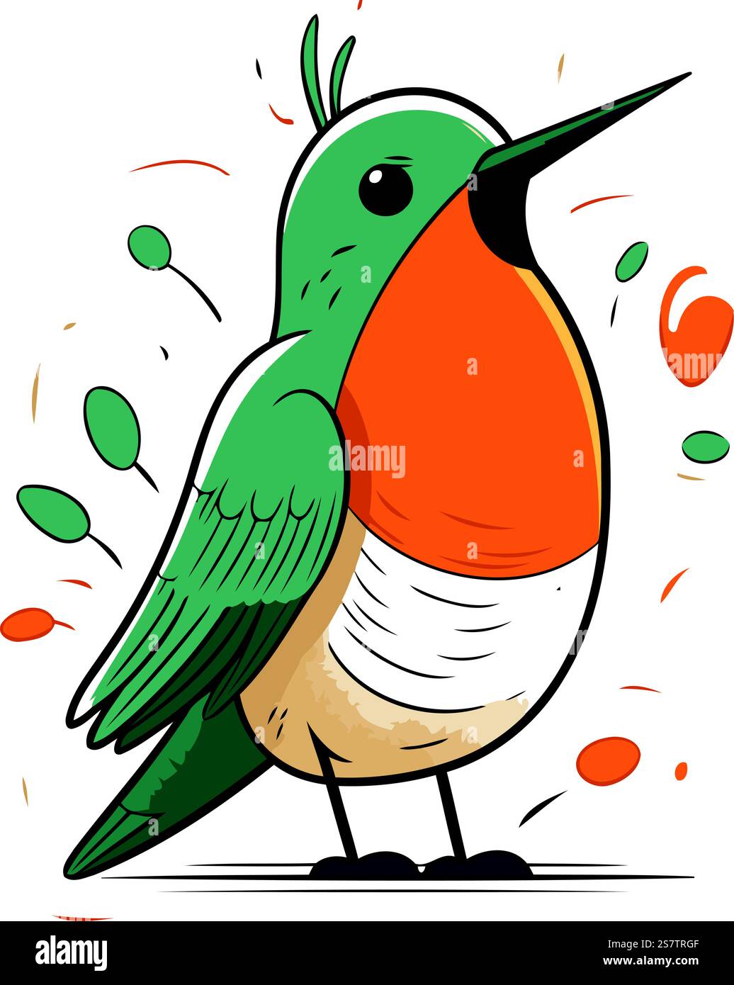 Vector illustration of a cute cartoon hummingbird isolated on white ...
