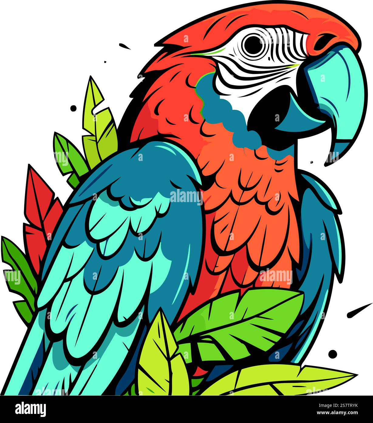 Colorful parrot. Hand drawn vector illustration in cartoon style Stock ...