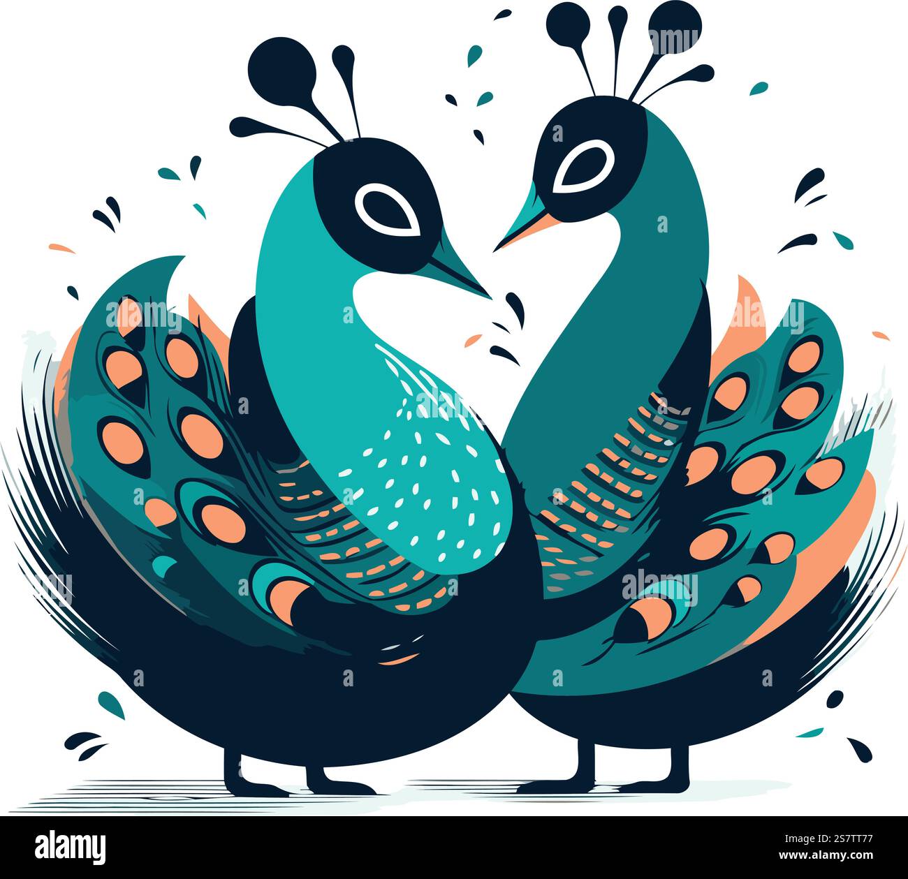 Peacock couple. Vector illustration of a pair of peacocks Stock Vector ...
