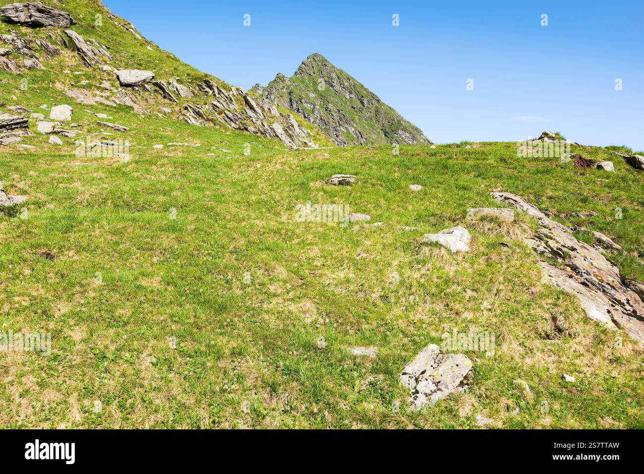 green mountain landscape of romania. carpathian green environment ...