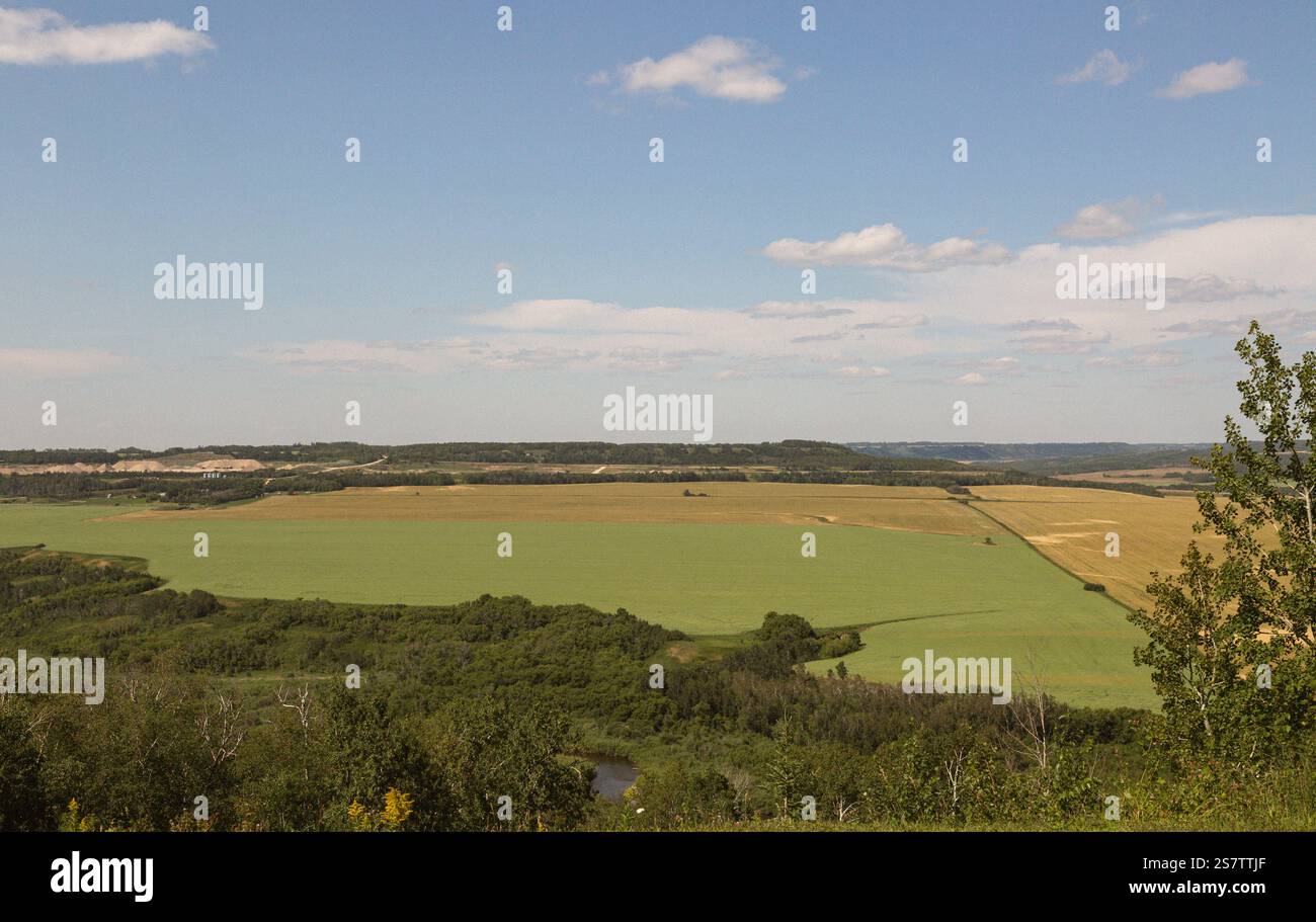 Farmers field with blue sky landscape Stock Photo - Alamy