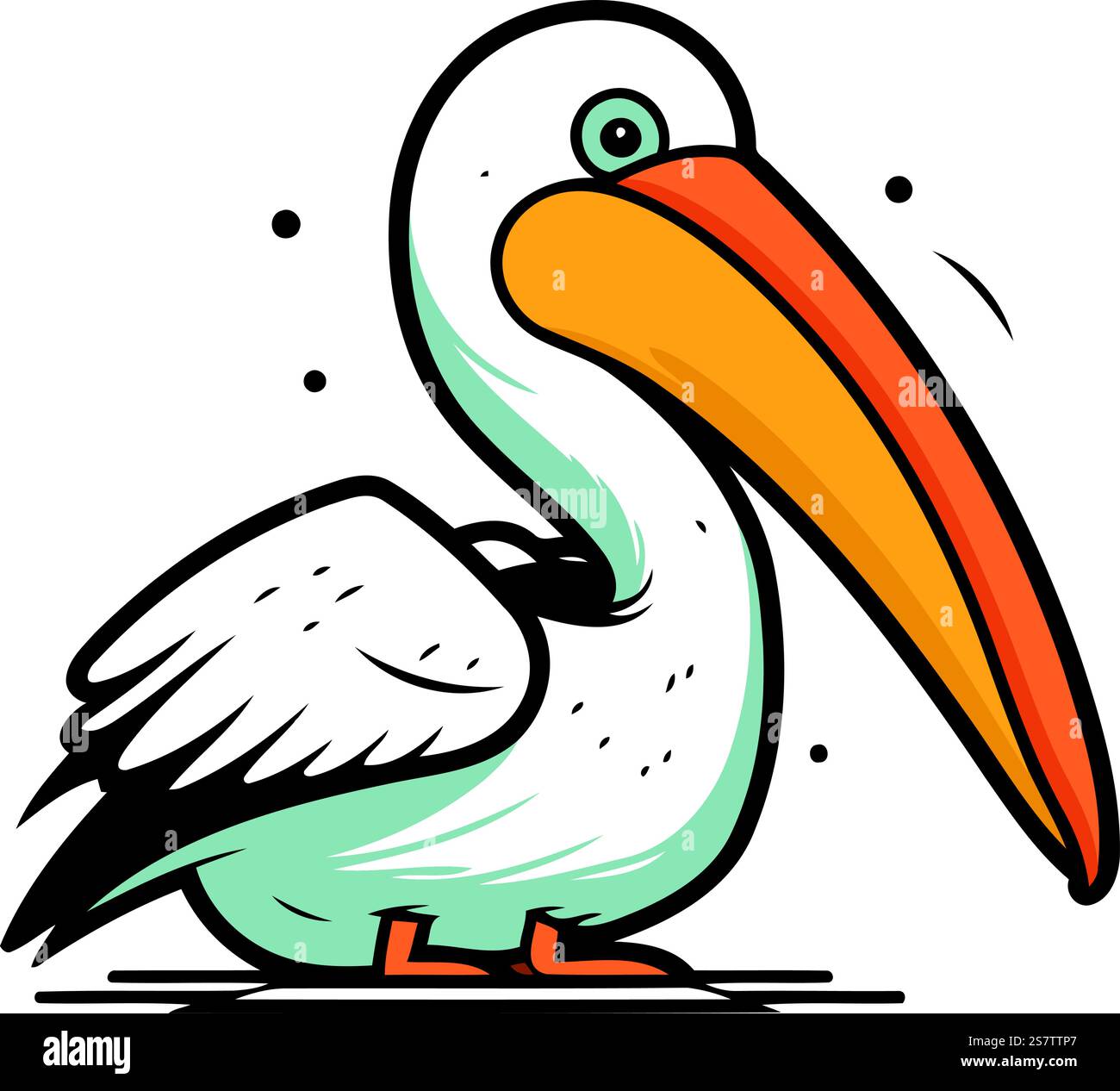 Pelican vector illustration. Cartoon pelican isolated on white ...