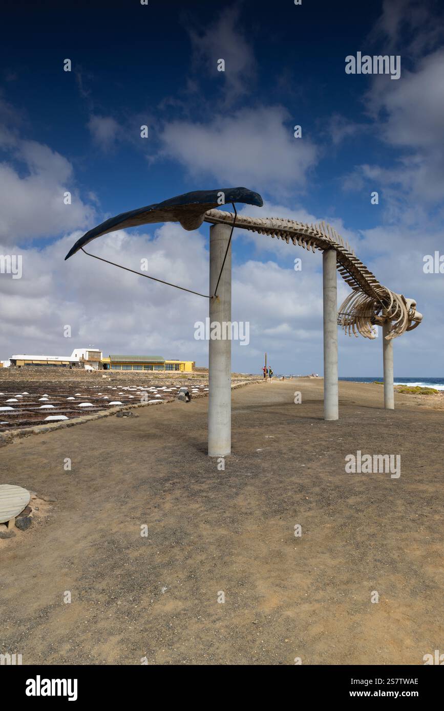 The Salinas del Carmen Salt Works and Salt Museum Stock Photo - Alamy