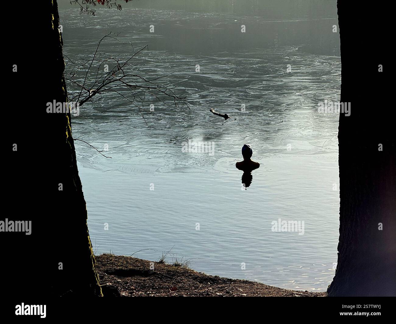 Krumme frau hi-res stock photography and images - Alamy