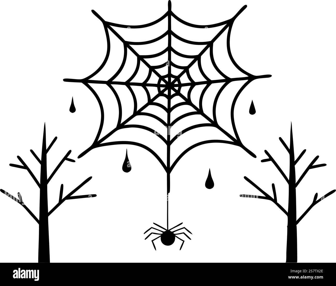 Elegant spider web design with symmetrical patterns, surrounded by ...