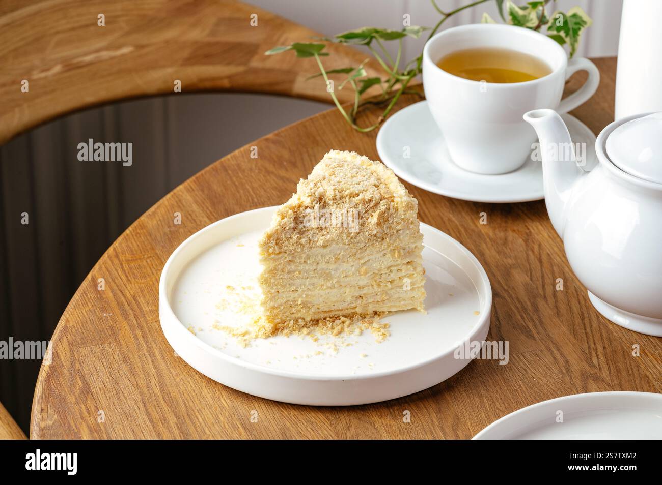 Sponge plate hi-res stock photography and images - Alamy