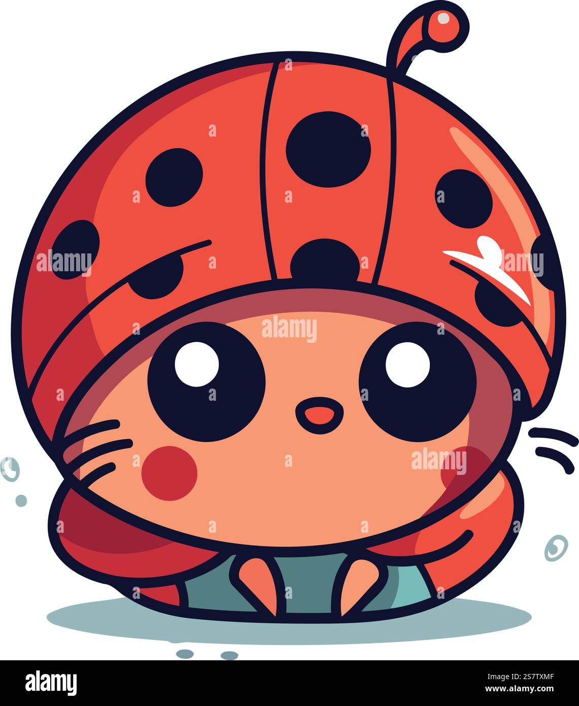 Cute ladybug cartoon isolated on white background. Vector illustration ...