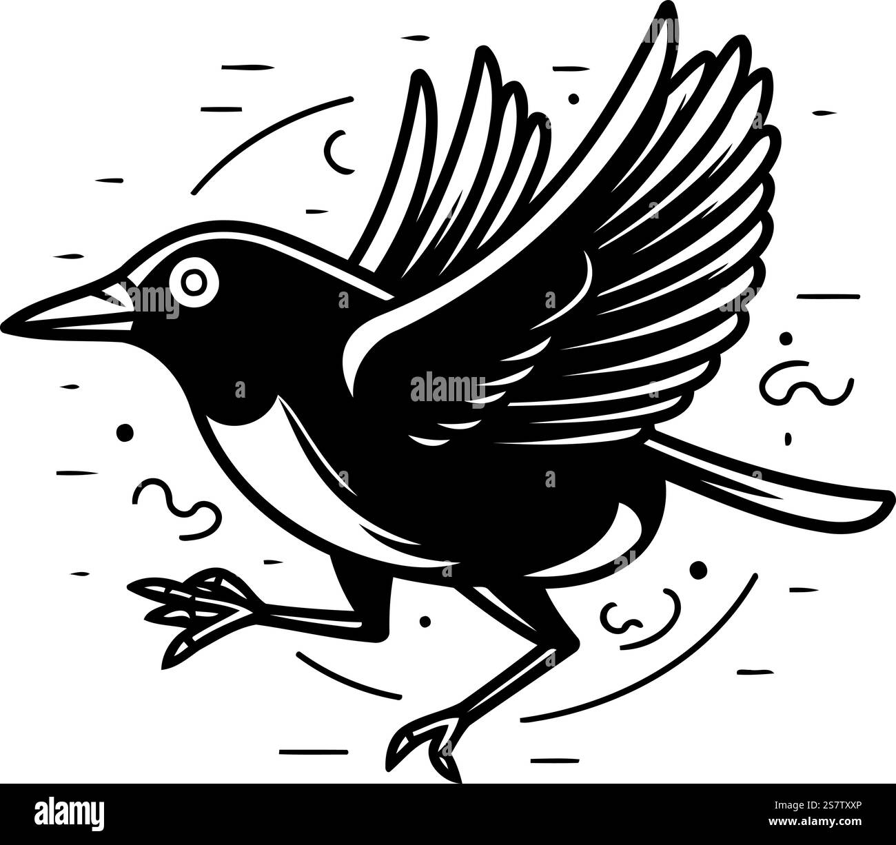 Crow in flight. Black and white vector illustration isolated on white ...