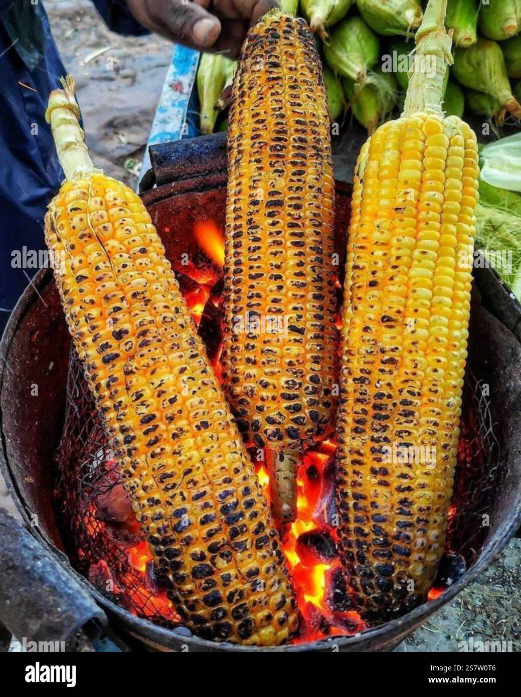Food is a big part of life, and knowing how to talk about it is ...