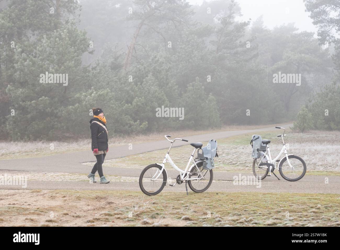 Cold misty day in the Netherlands. Lady walks to bike on Dutch ...