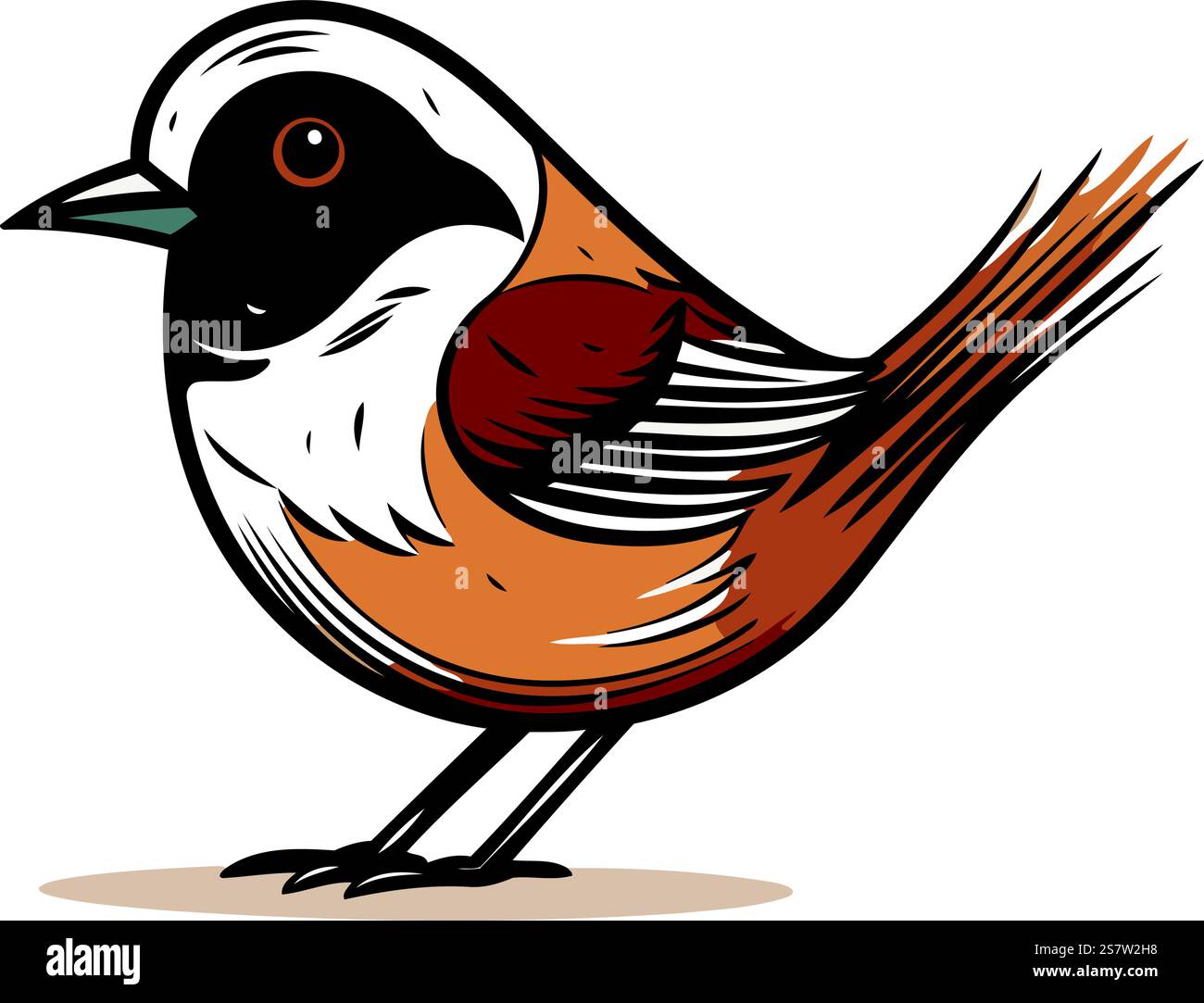 Chickadee bird isolated on white background. Vector illustration Stock ...