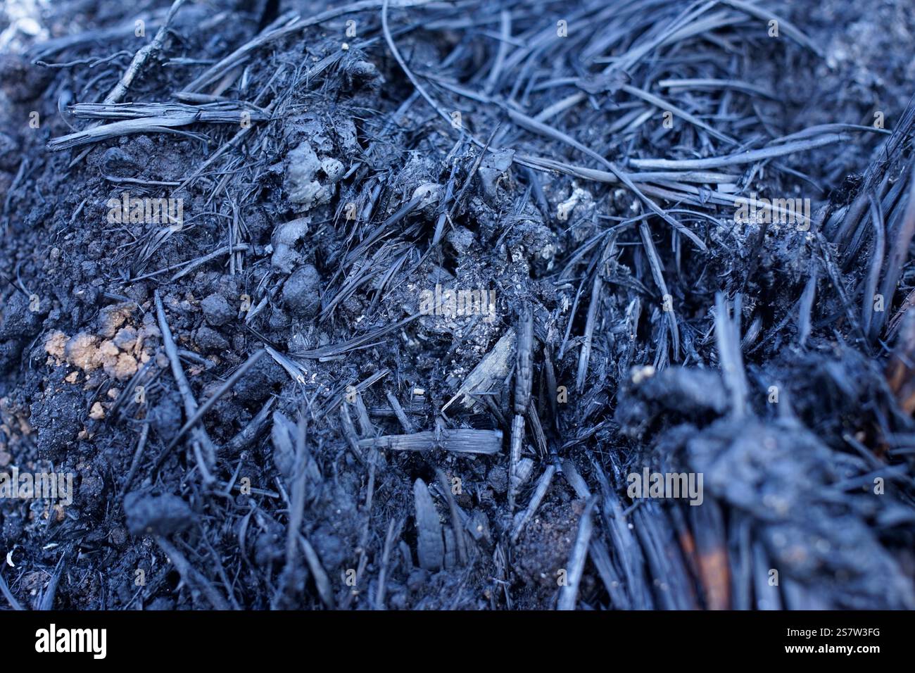 Destruction from fires hi-res stock photography and images - Alamy