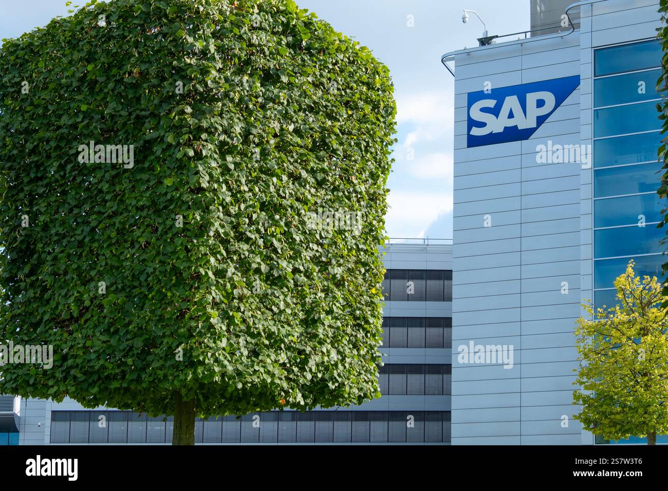 Sap symbol hi-res stock photography and images - Alamy