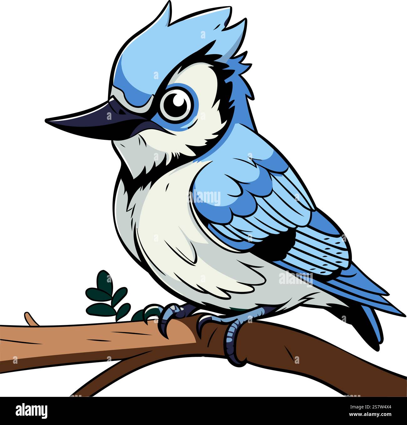 Cute blue jay clipart Stock Vector Images - Alamy