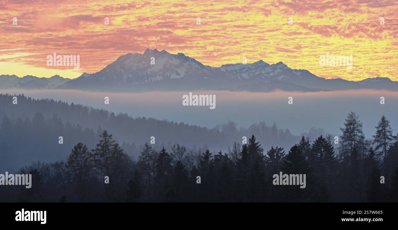 Foggy atmosphere in the light of the setting sun with a view of Mount ...