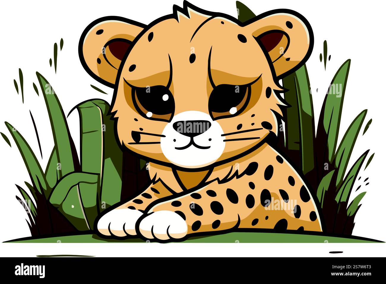 Cheetah cartoon hi-res stock photography and images - Alamy