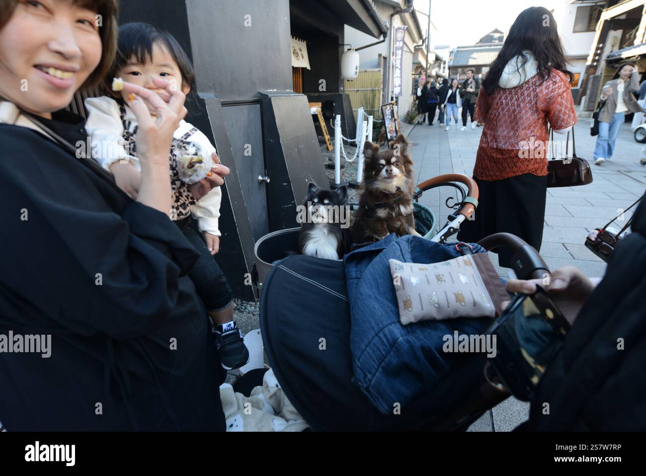 Japanese family with their cute pet dogs standing on Kanetsuki street ...