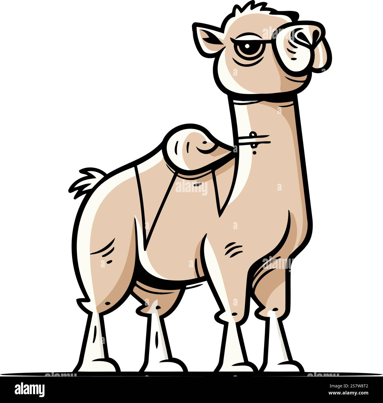 Camel vector illustration. Cute cartoon camel. Vector illustration ...