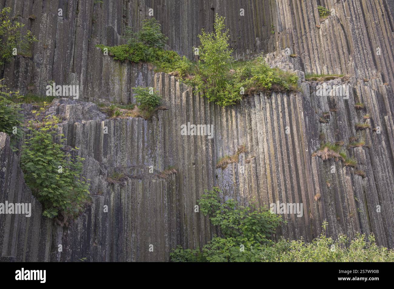 Panska skala, (Mansion/Manor Rock) also called the Varhany (Organ) is ...