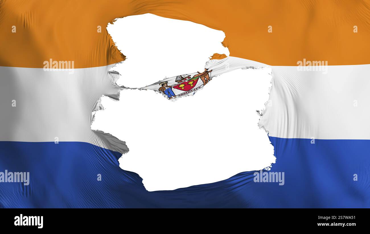 Tattered Albany city, capital of New York state flag, white background ...