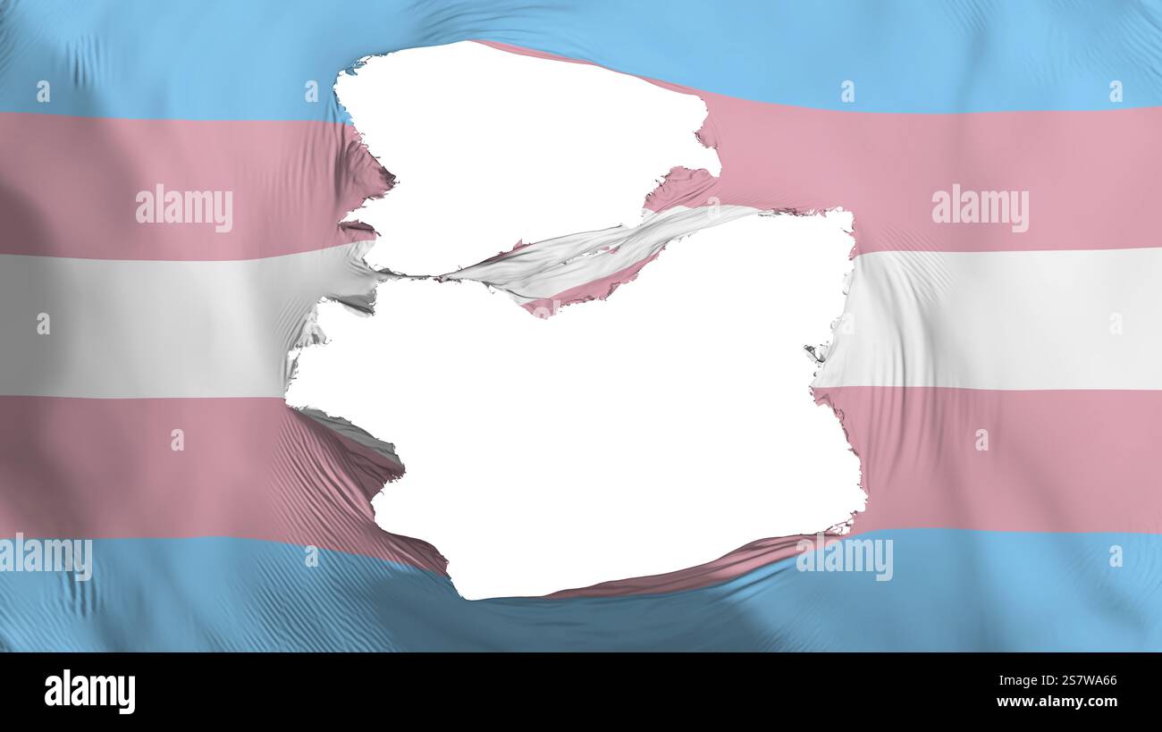 Tattered Transgender pride flag, white background, 3d rendering Stock ...