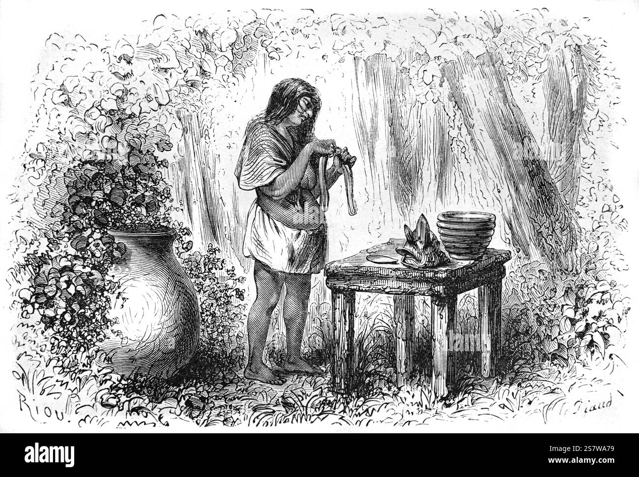 Conibo or Conibos Woman Making Pots or Pottery. The Shipibo-Conibo are ...