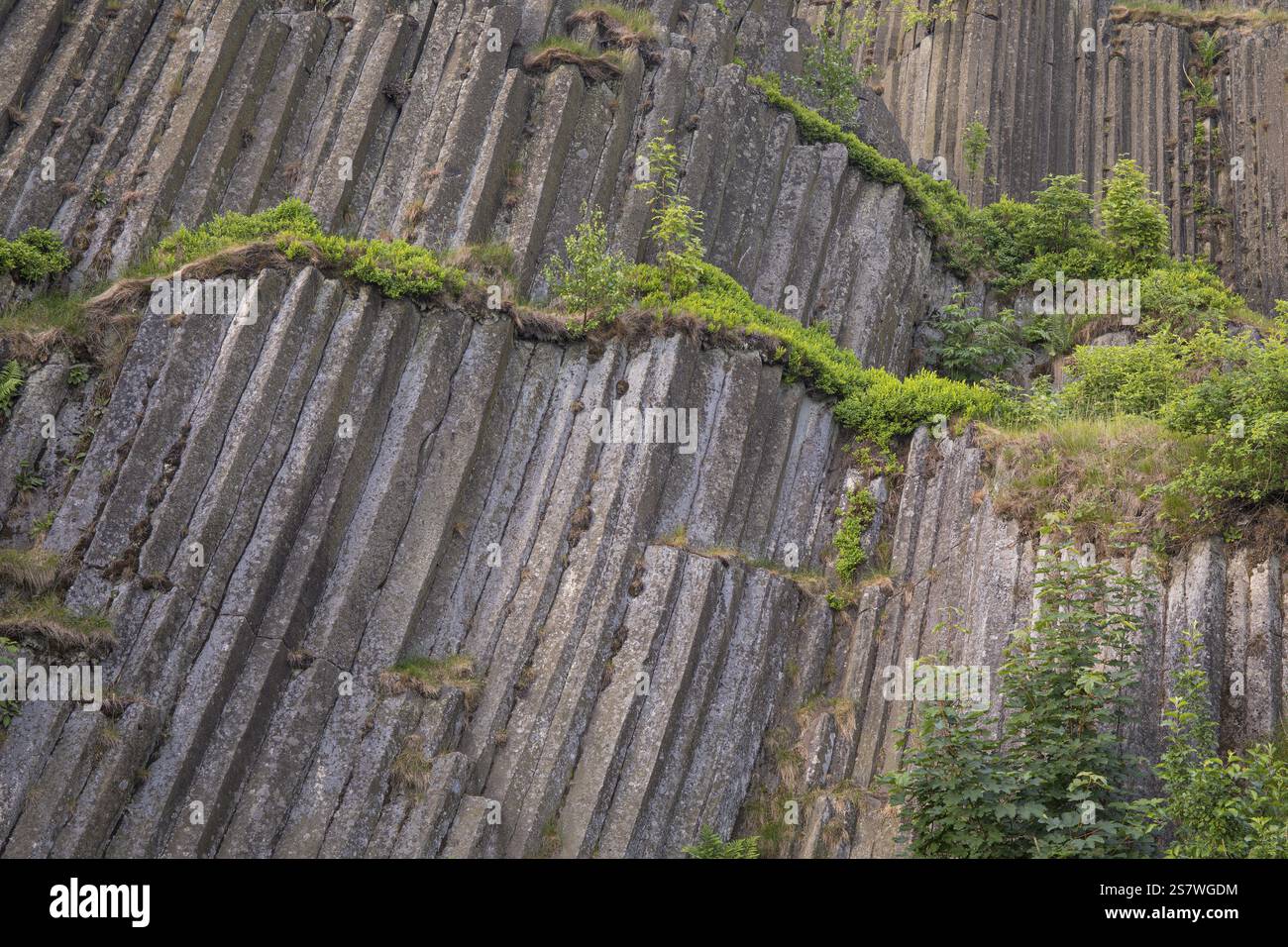 Panska skala, (Mansion/Manor Rock) also called the Varhany (Organ) is ...