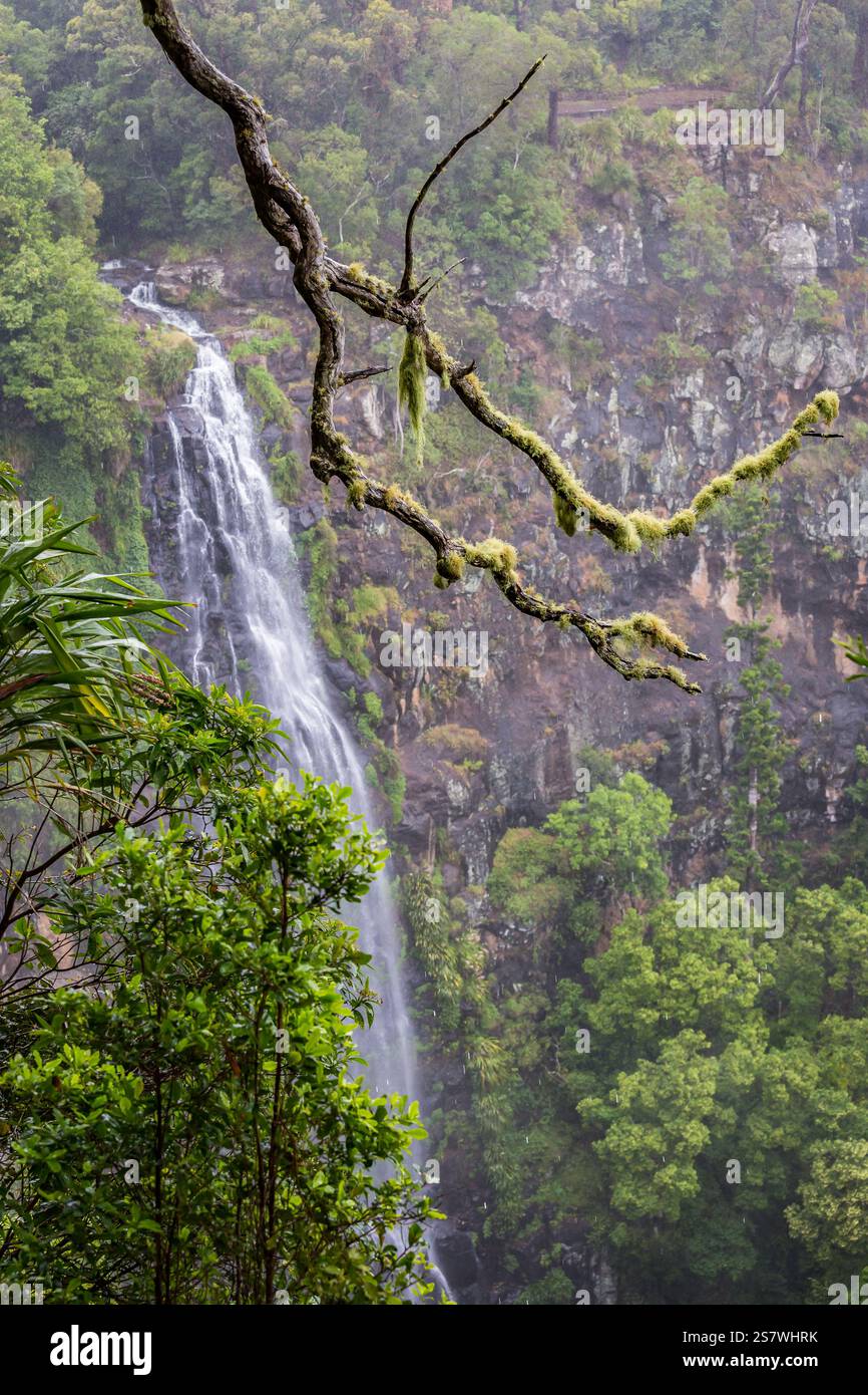 Morans Waterfall in Lamington National Park, Queensland, Australia ...